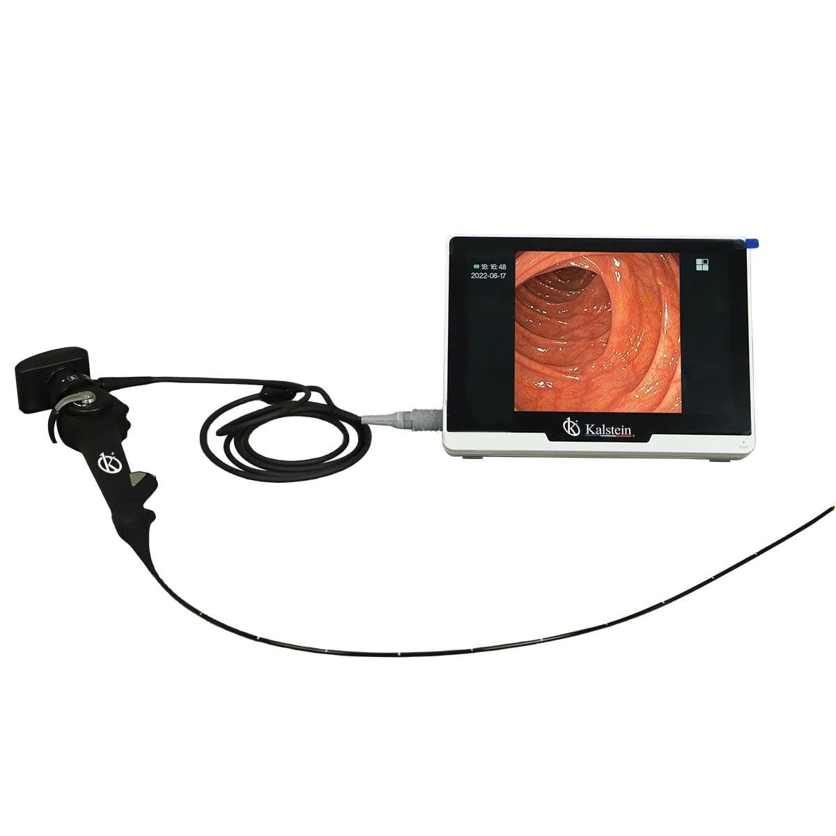 Veterinary Video Endoscope: Precise Internal Exploration for Minimally ...